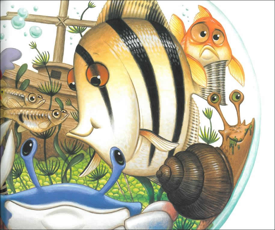 Memoirs of a Goldfish – The Literacy Store