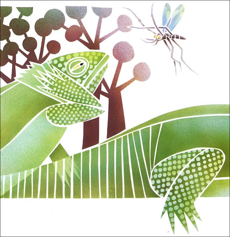 Why Mosquitoes Buzz in People's Ears – The Literacy Store