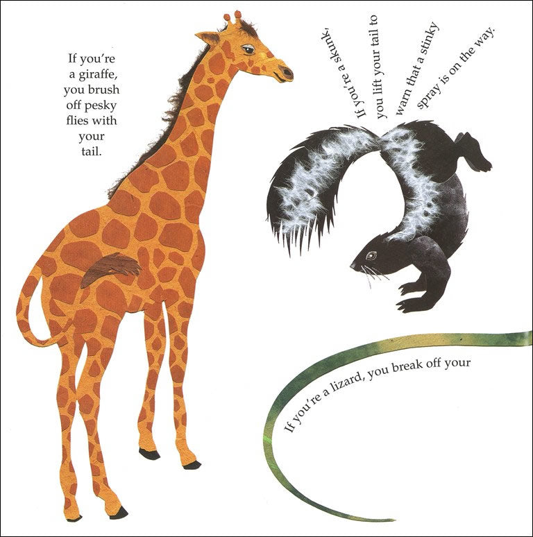 What Do You Do with a Tail Like This? – The Literacy Store