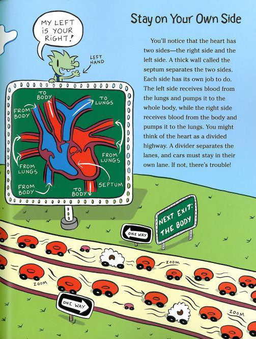 The Circulatory Story – The Literacy Store