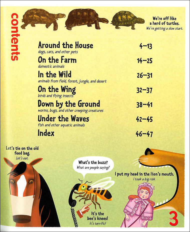 There's A Frog In My Throat – The Literacy Store