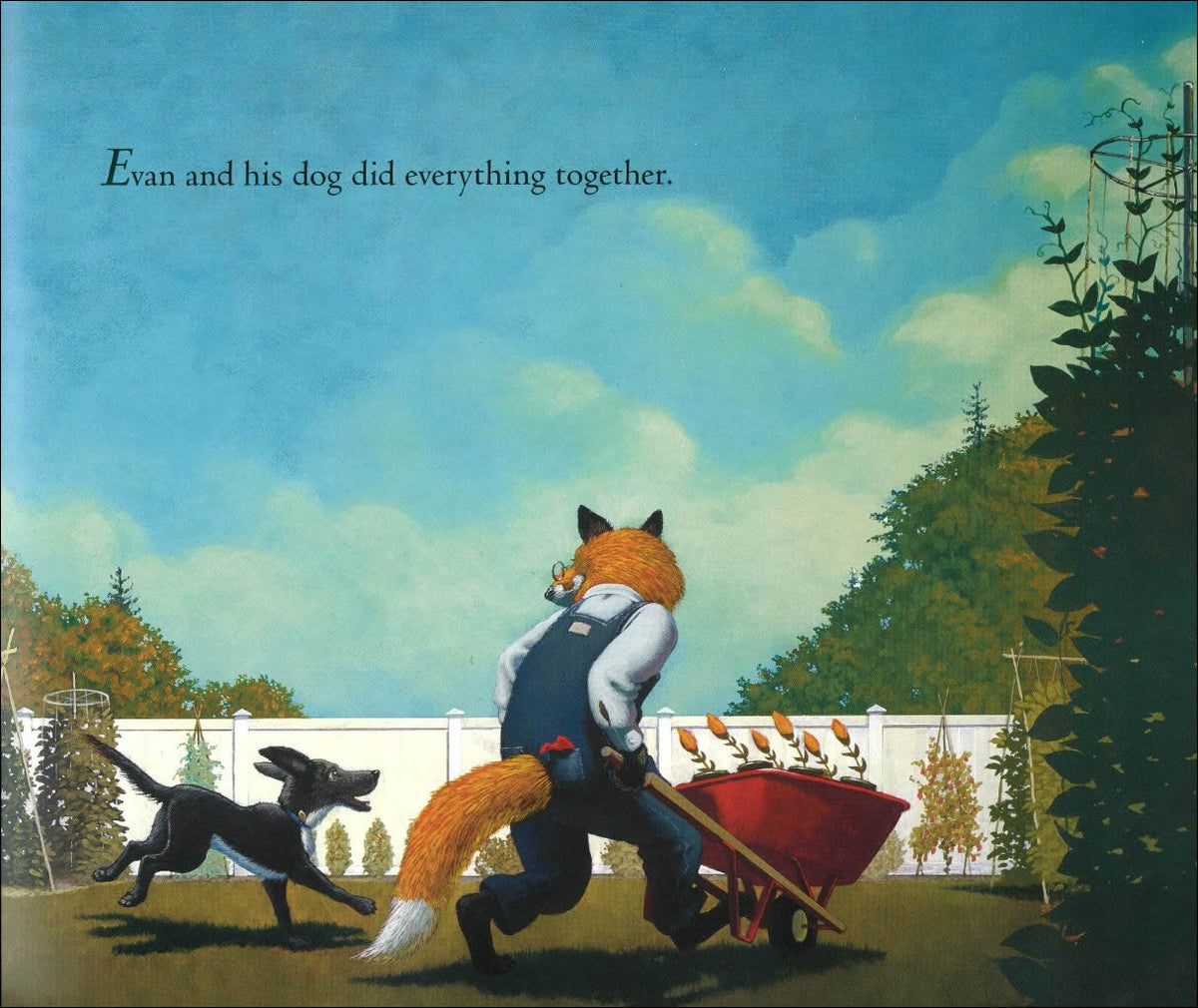 The Rough Patch – The Literacy Store